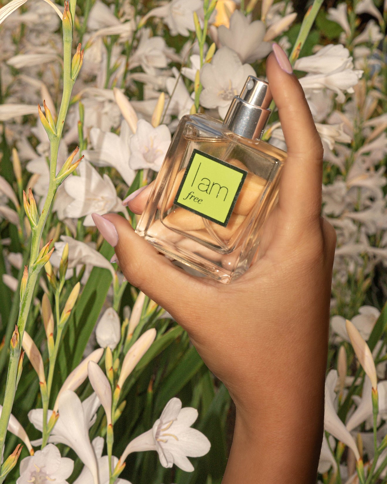 I am Fragrance | Perfume Boutique